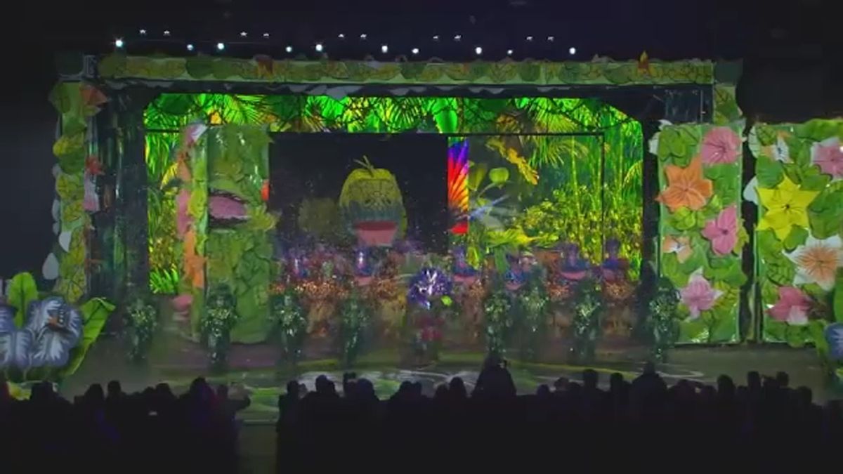 2026 Mummers Parade Results - Mr. Mummer